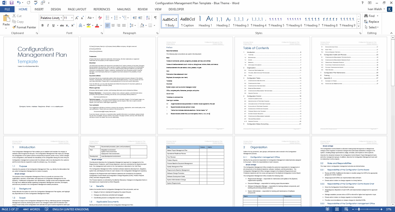 Configuration Management Plan Template MS Word 24 Pages 3 Free Forms My Software Templates