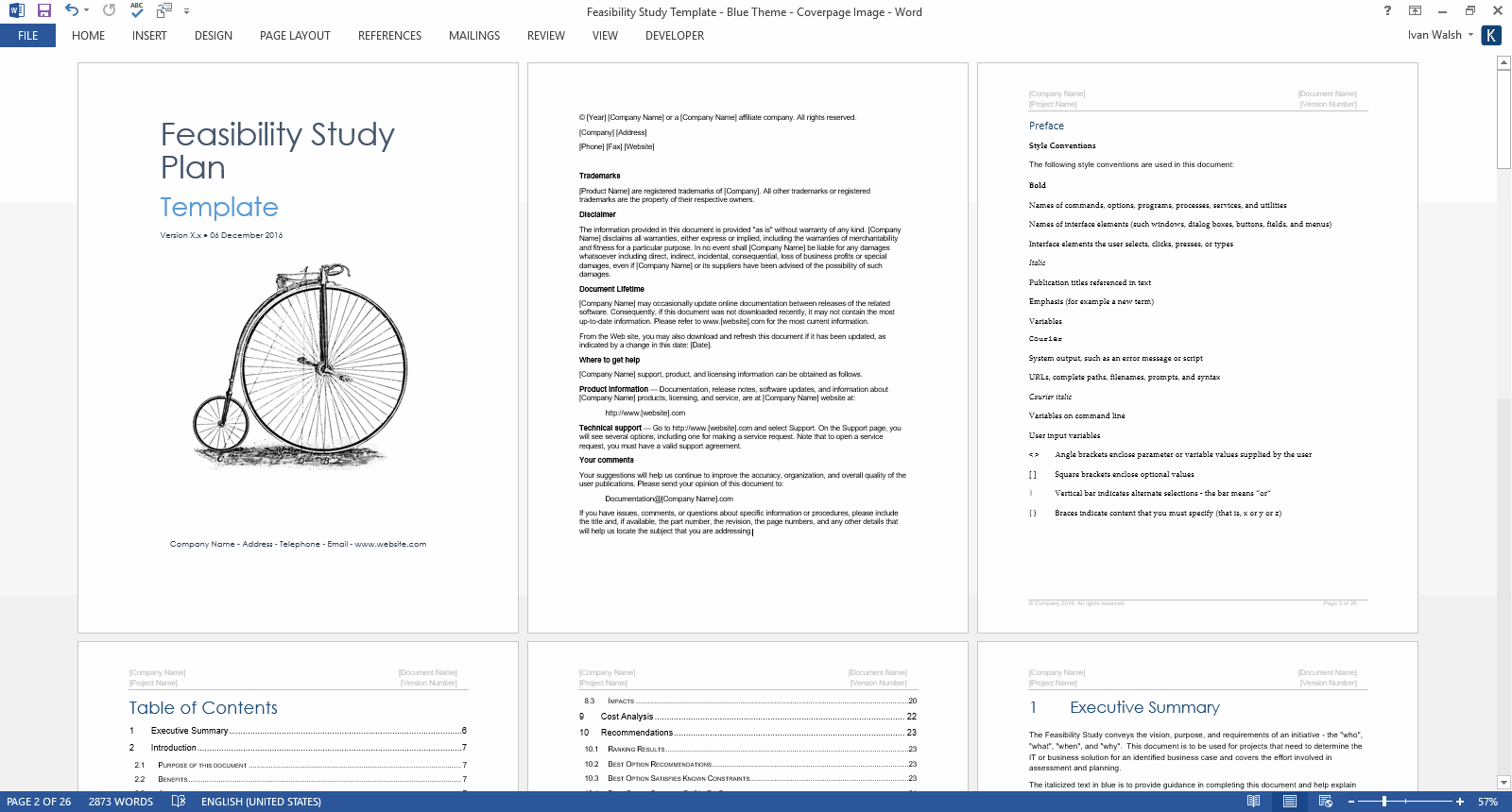 Feasibility Study Template Technical Writing Tools