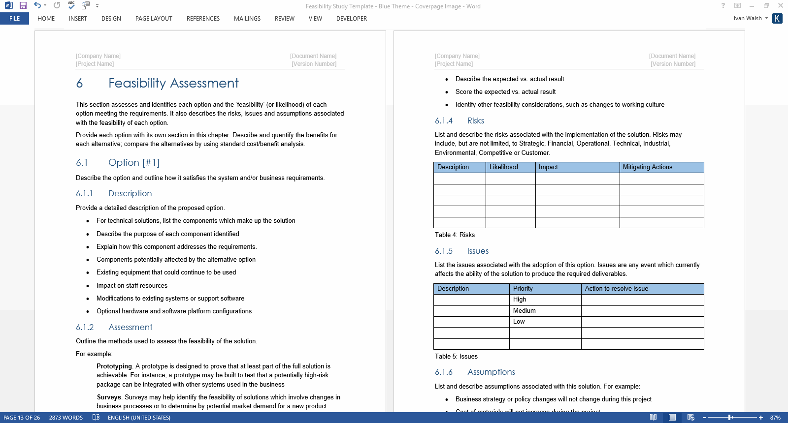 Feasibility Study Templates MS Word Templates Forms Checklists 