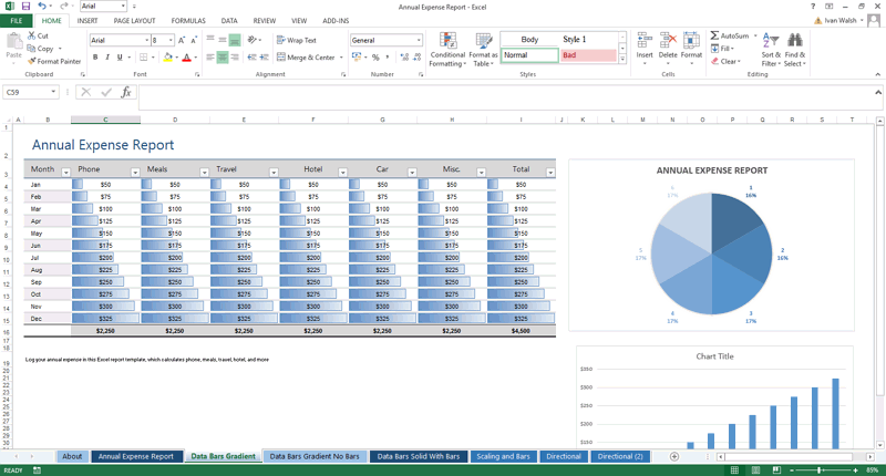 Excel Template Annual Expense Report