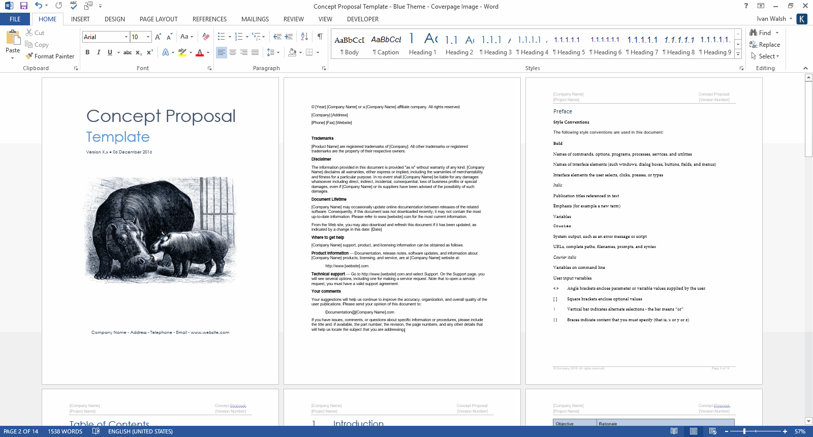 Concept Proposal Template MS Word Excel Spreadsheets Templates