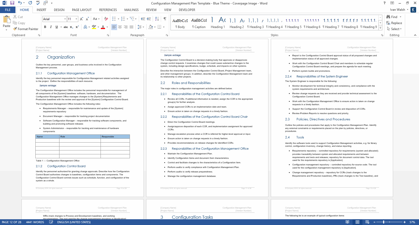 Configuration Management Plan Template MS Word Templates Forms 