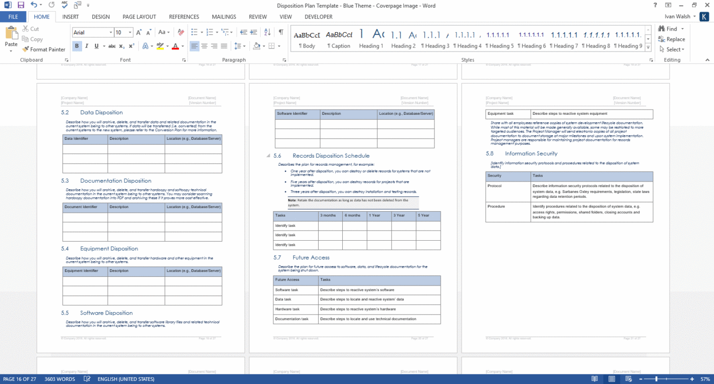 Disposition Plan template (MS Office) – MS Office Templates with AI prompts