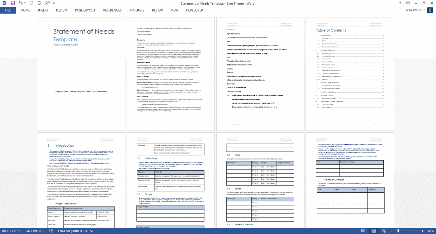 Statement of Needs Template – Templates, Forms, Checklists for MS ...